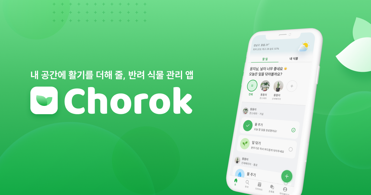 Chorok · GitHub